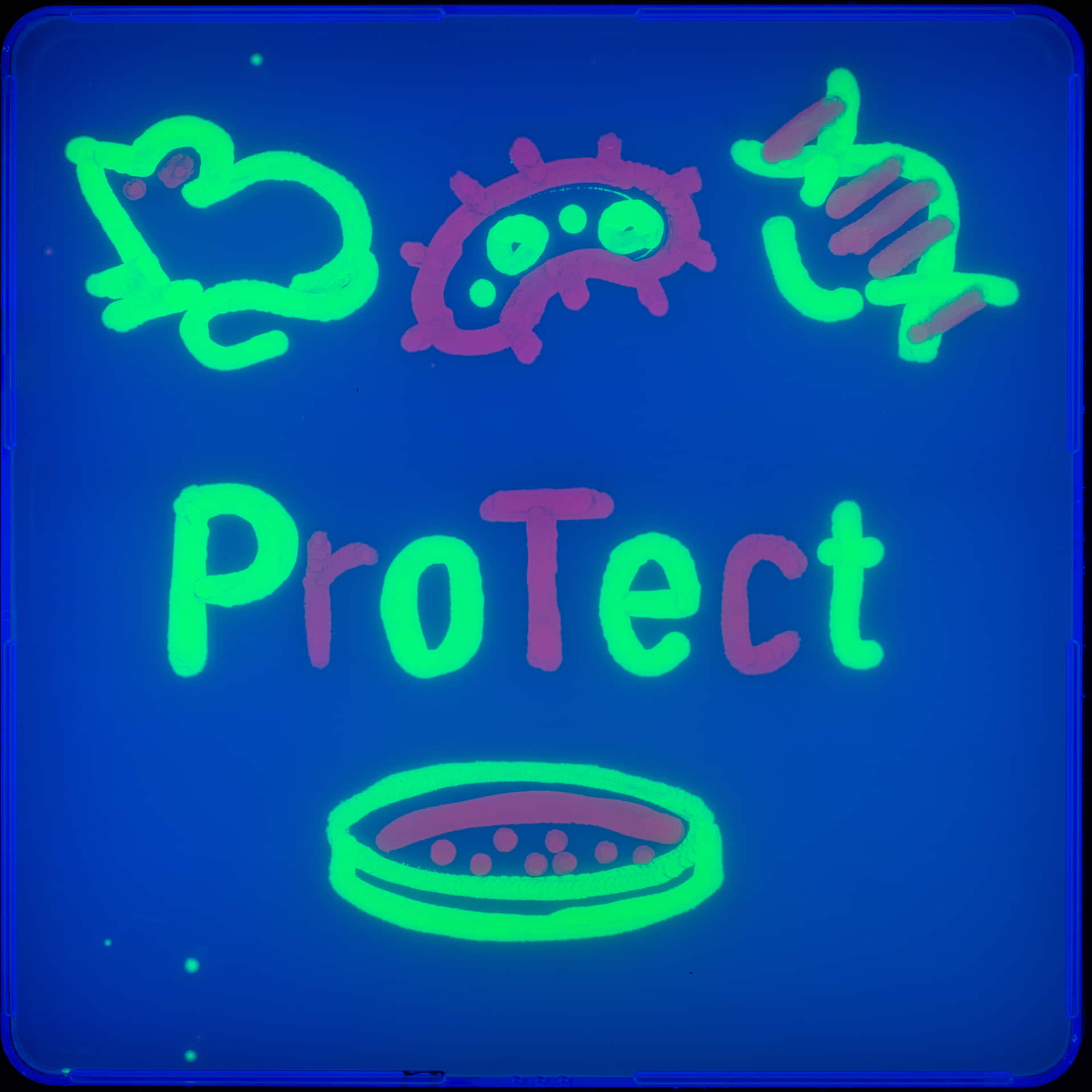 ProbiHôte - MICALIS