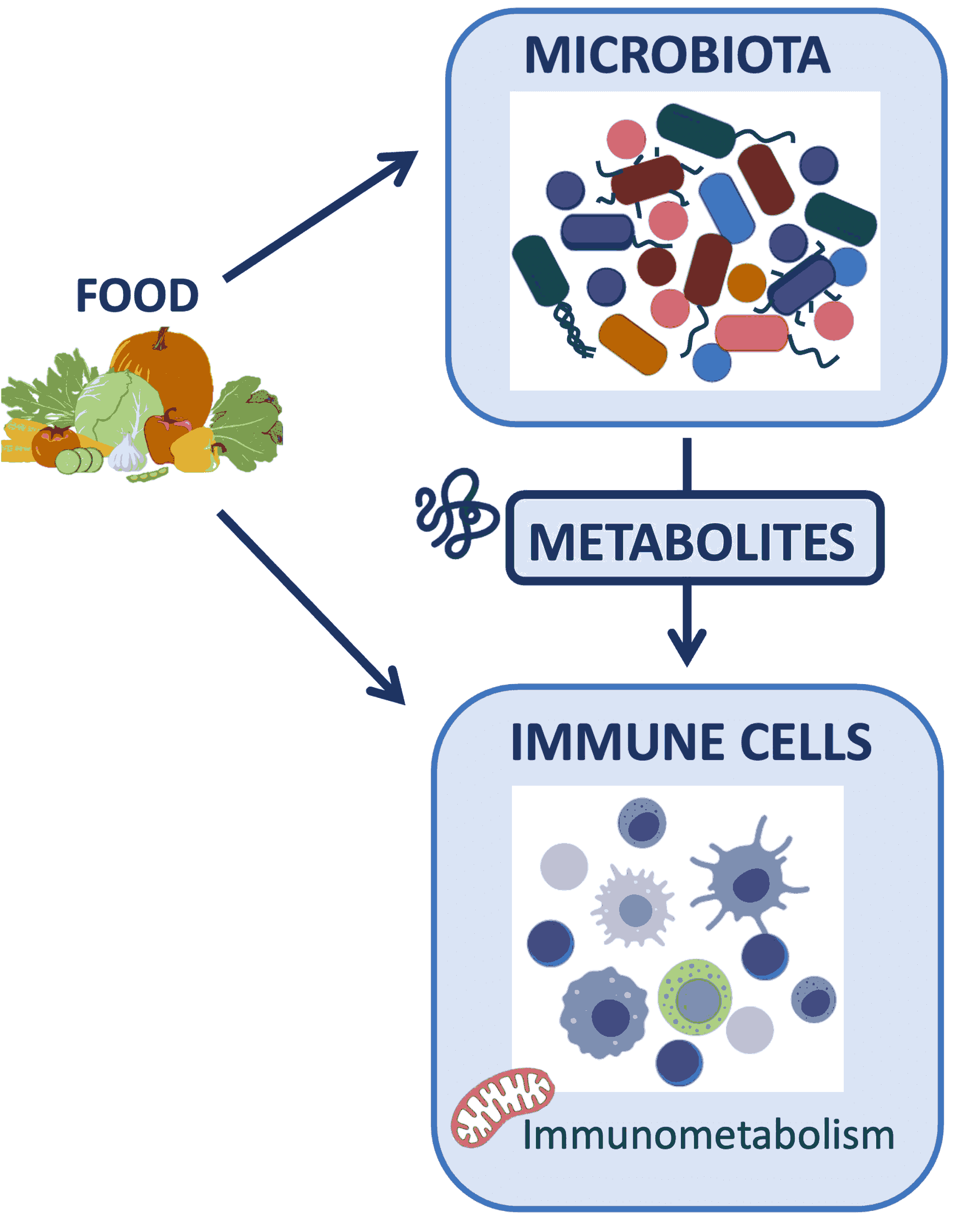 ProbiHôte - MICALIS