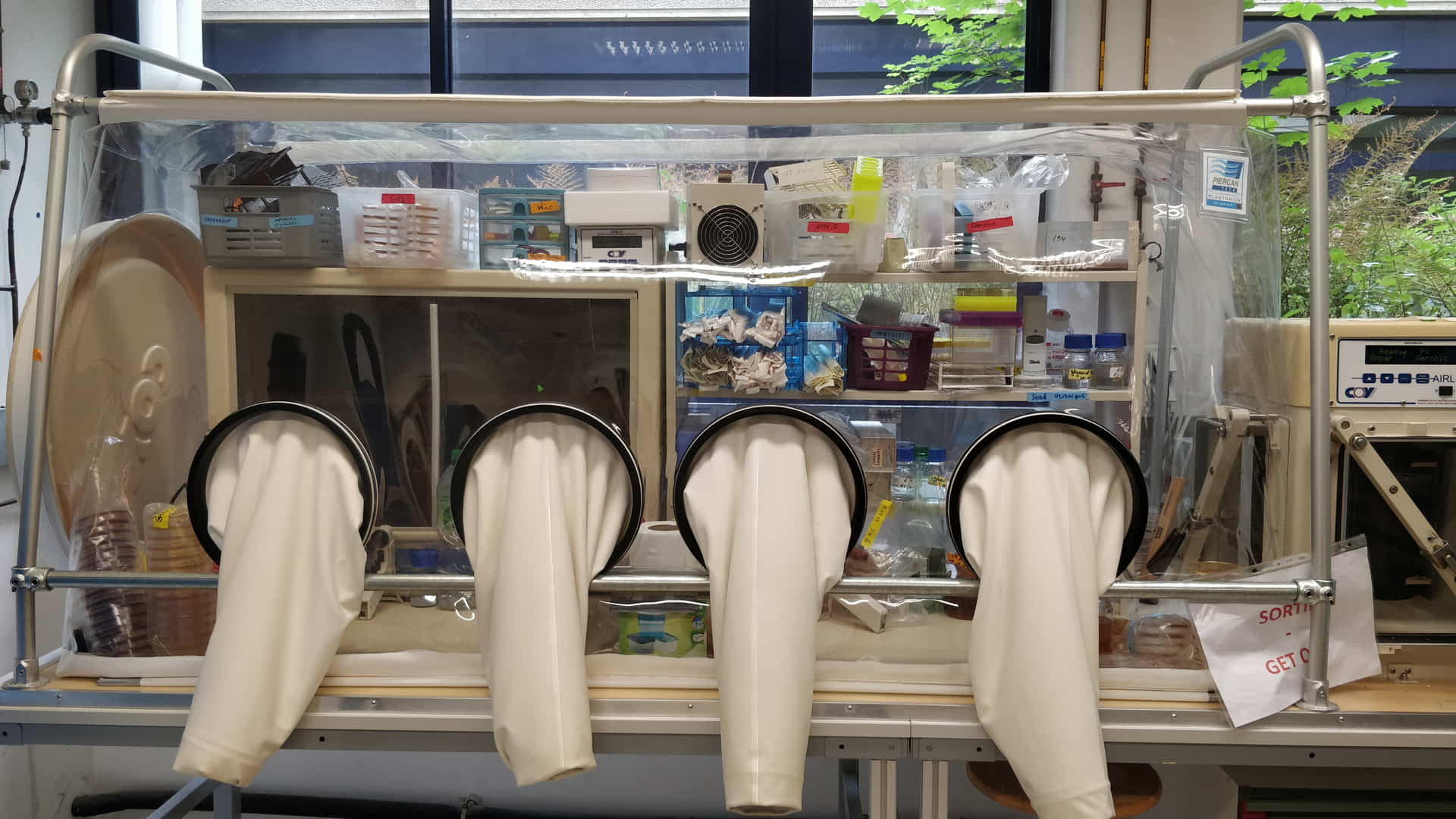 ProbiHôte - MICALIS